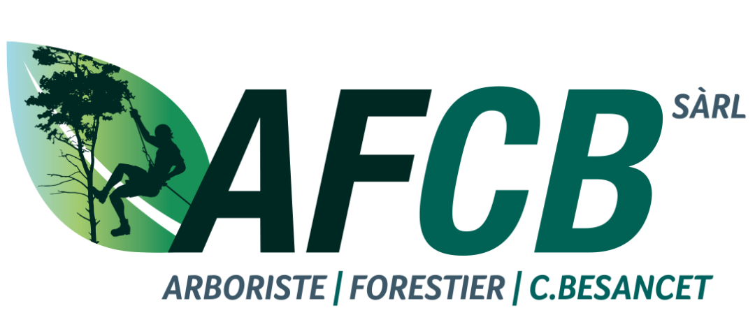 Notre histoire – AFCB